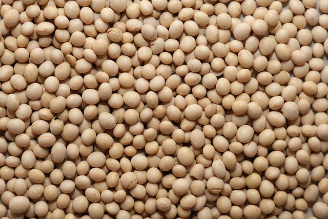 Soy and Women's Health : How Superfood Can Benefit Menopause